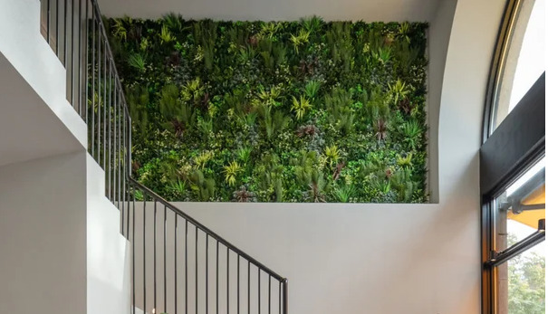 Start Greening Your Office Space with Green Walls!